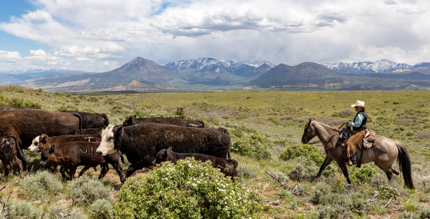 Homestead Natural Meats | Local Colorado Meat